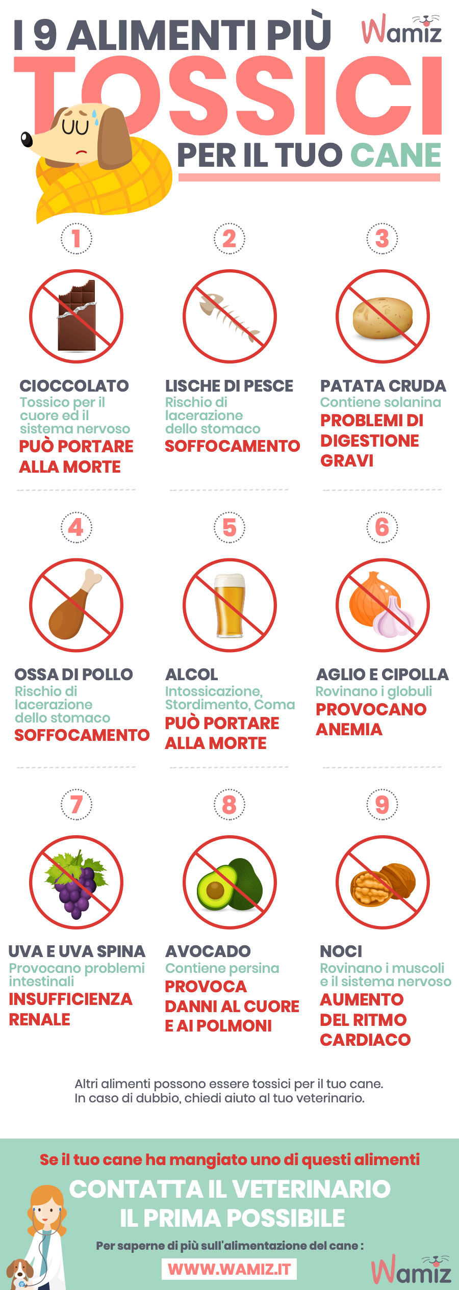 Pericoli di Natale per cane e gatto: 4 cose importanti da sapere